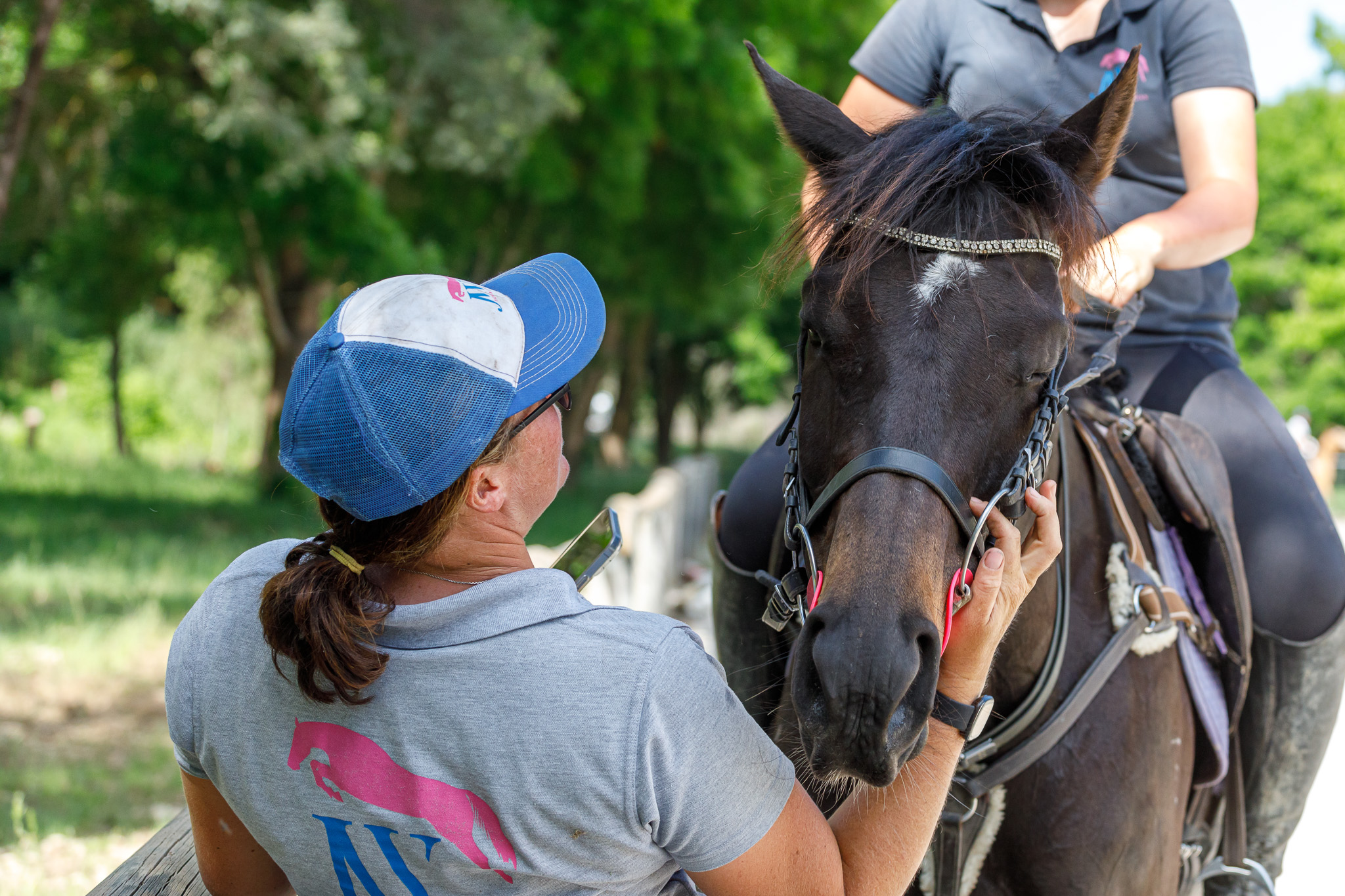 Beginner’s Guide to Horse Riding: What to Expect in Your First Lesson